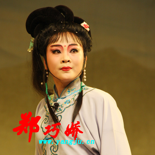 江都德才扬剧团6月14日晚在友好会馆成功演出 上集 扬州扬剧网 YangJu Cn